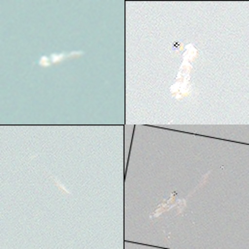 Whales And Ships Object Detection Dataset V1 2025 03 17 3 11pm By Vegetation