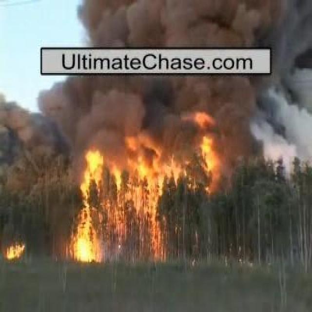 Forest fire Object Detection Model by lamhuy