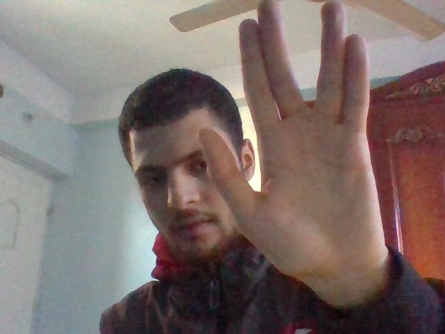 hand_detection Object Detection Dataset and Pre-Trained Model by ...