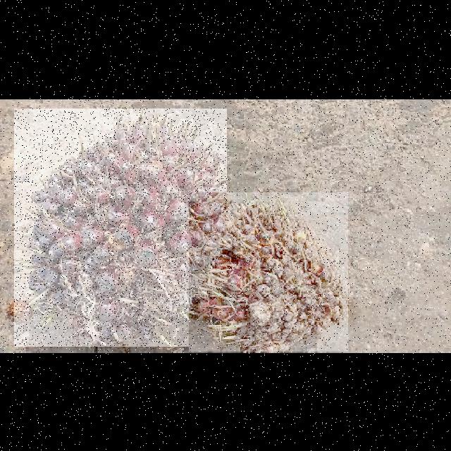 Palm Object Detection Dataset and Pre-Trained Model by mds11