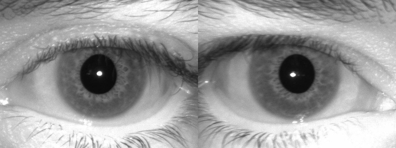 Iris Recognition Classification Dataset by Iris Recognition