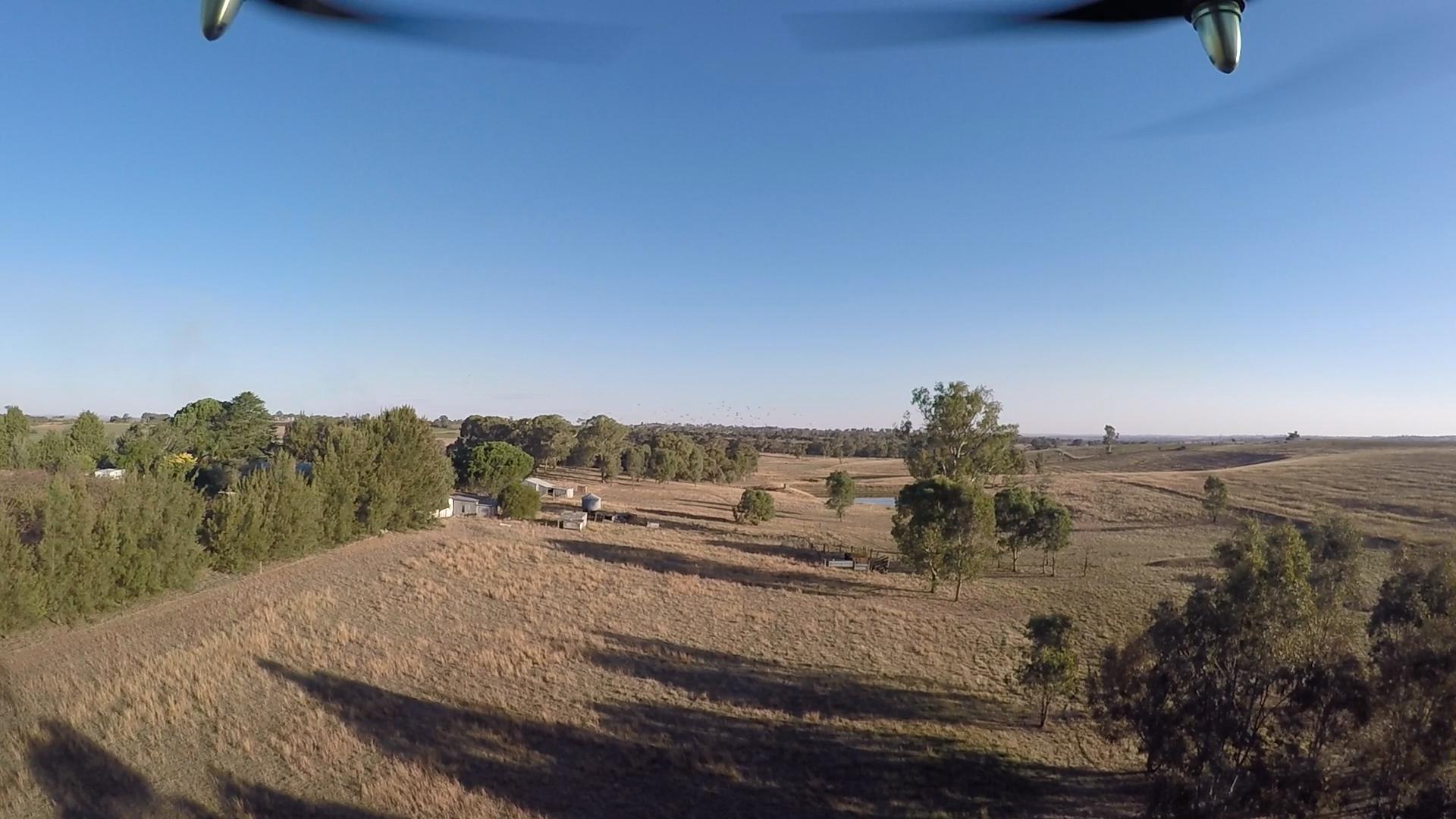 drone and birds - Roboflow Universe