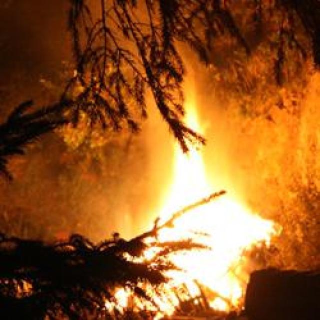 Firedetection Object Detection Dataset And Pre Trained Model By