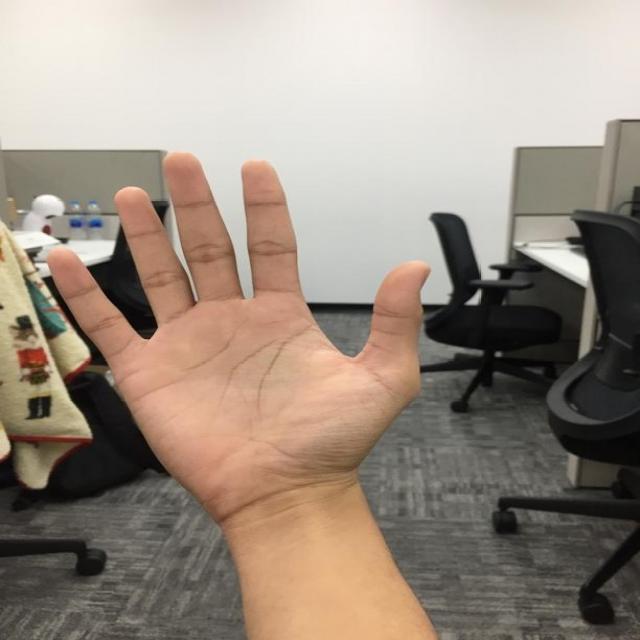 Combined_Dataset_of_Hands_Head Object Detection Dataset and Pre-Trained Model by Boxing