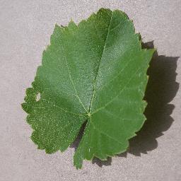 My PFE Project 22 Object Detection Dataset and Pre-Trained Model by Annotation des images