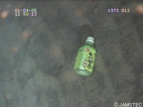 underwater debris detection - Roboflow Universe