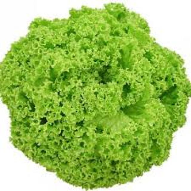 Lettuce Object Detection Dataset and Pre-Trained Model by Abdullah Duman