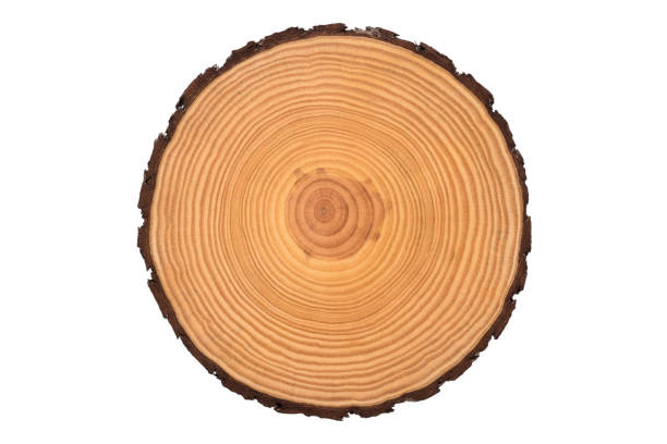 Circle Detection Object Detection Dataset And Pre Trained Model By Workspace