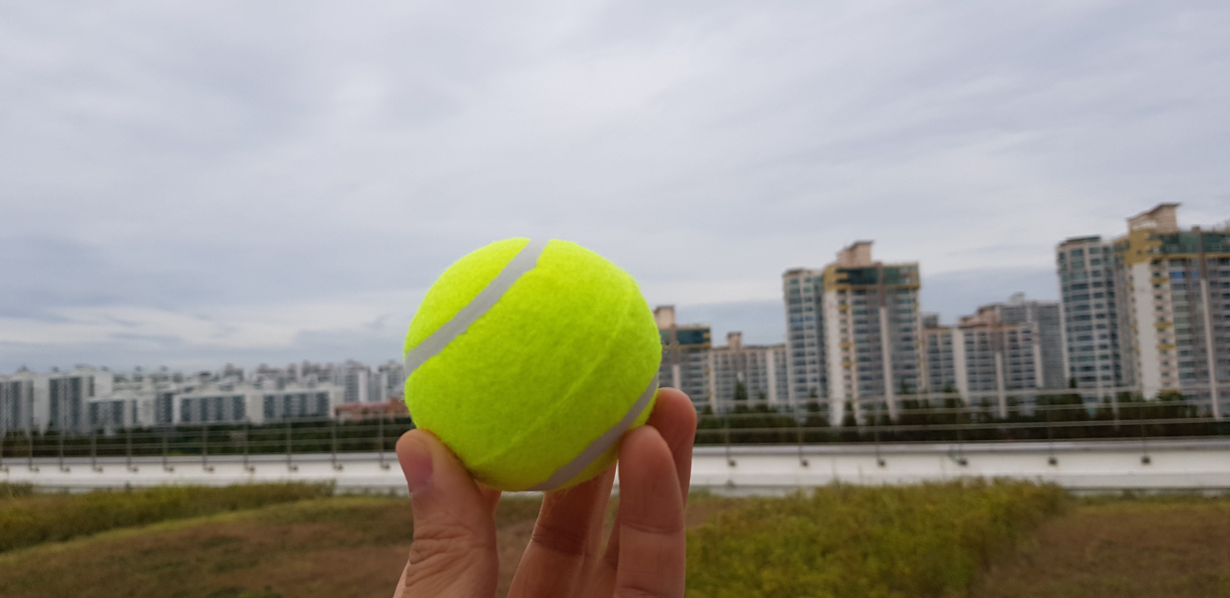 teniss_ball Object Detection Dataset by CH K