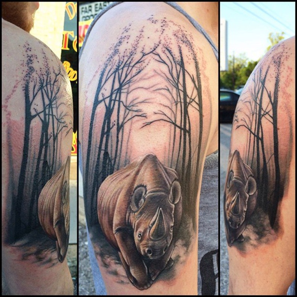 Segm_rhinos_hippos Instance Segmentation Dataset and Pre-Trained Model by Elijahworkspace