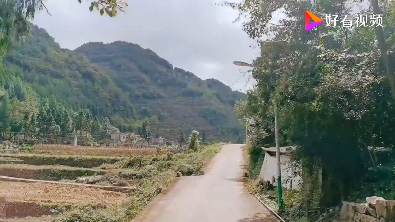 yolov7-load-v1 Instance Segmentation Dataset by yolov7seg01