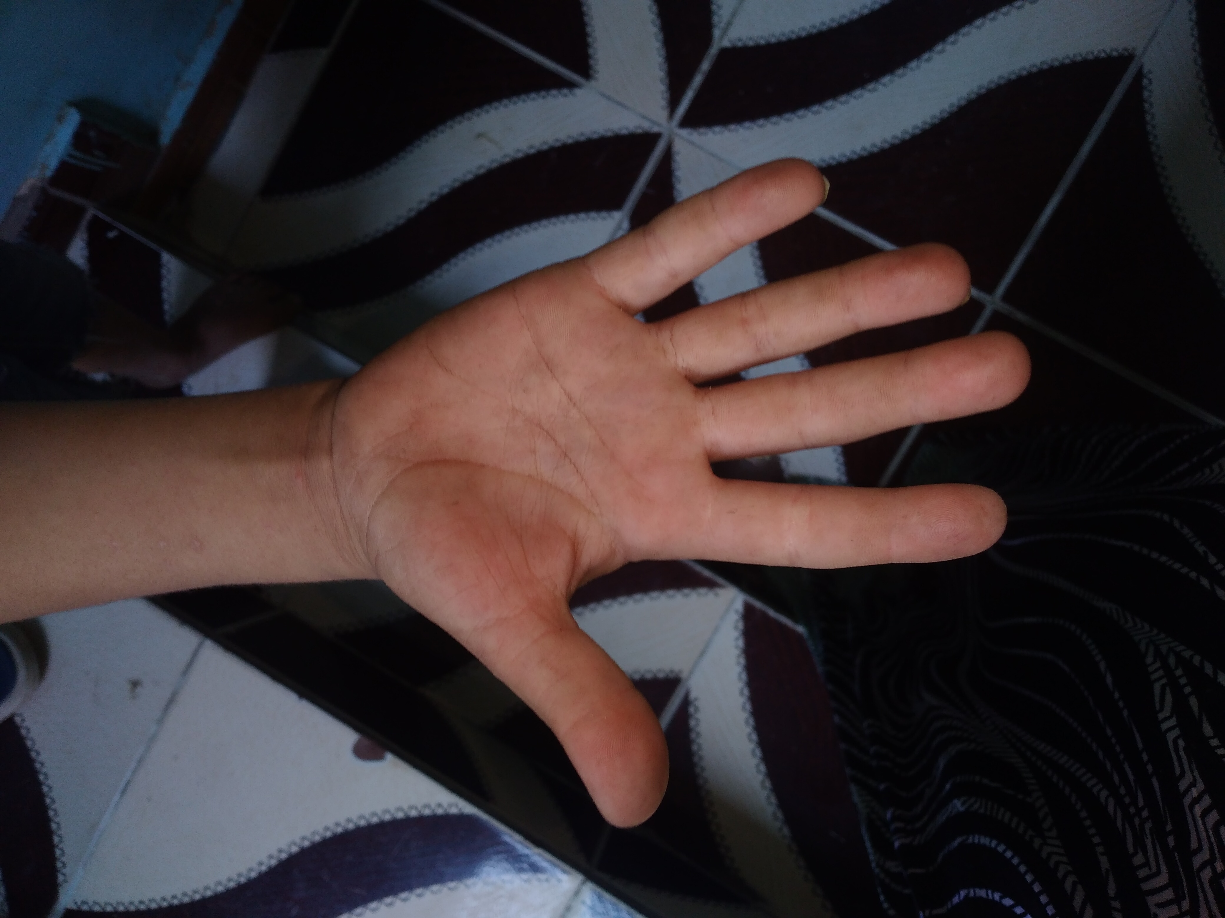 Hands Instance Segmentation Dataset by BIAC