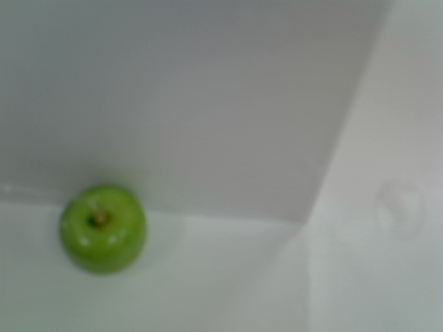 Tree-Apple Object Detection Model by AgriRobot230929