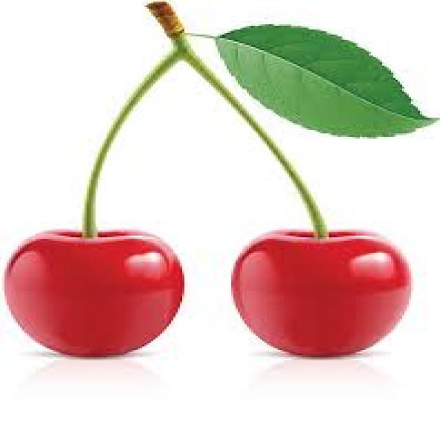 12_fruit Instance Segmentation Model by wisd