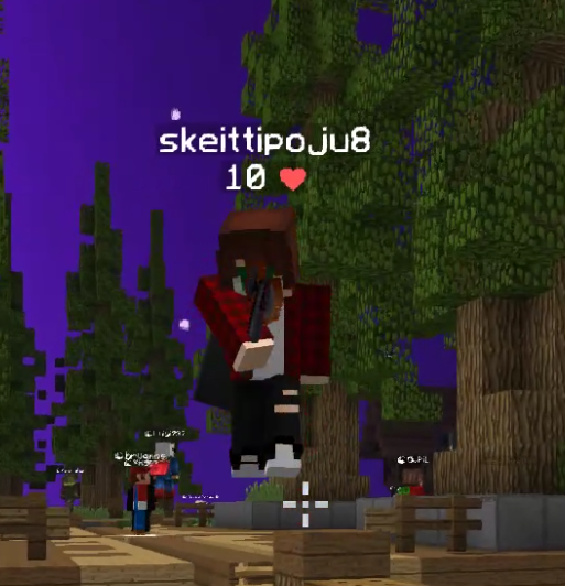 mc Object Detection Dataset by new-workspace-sterq