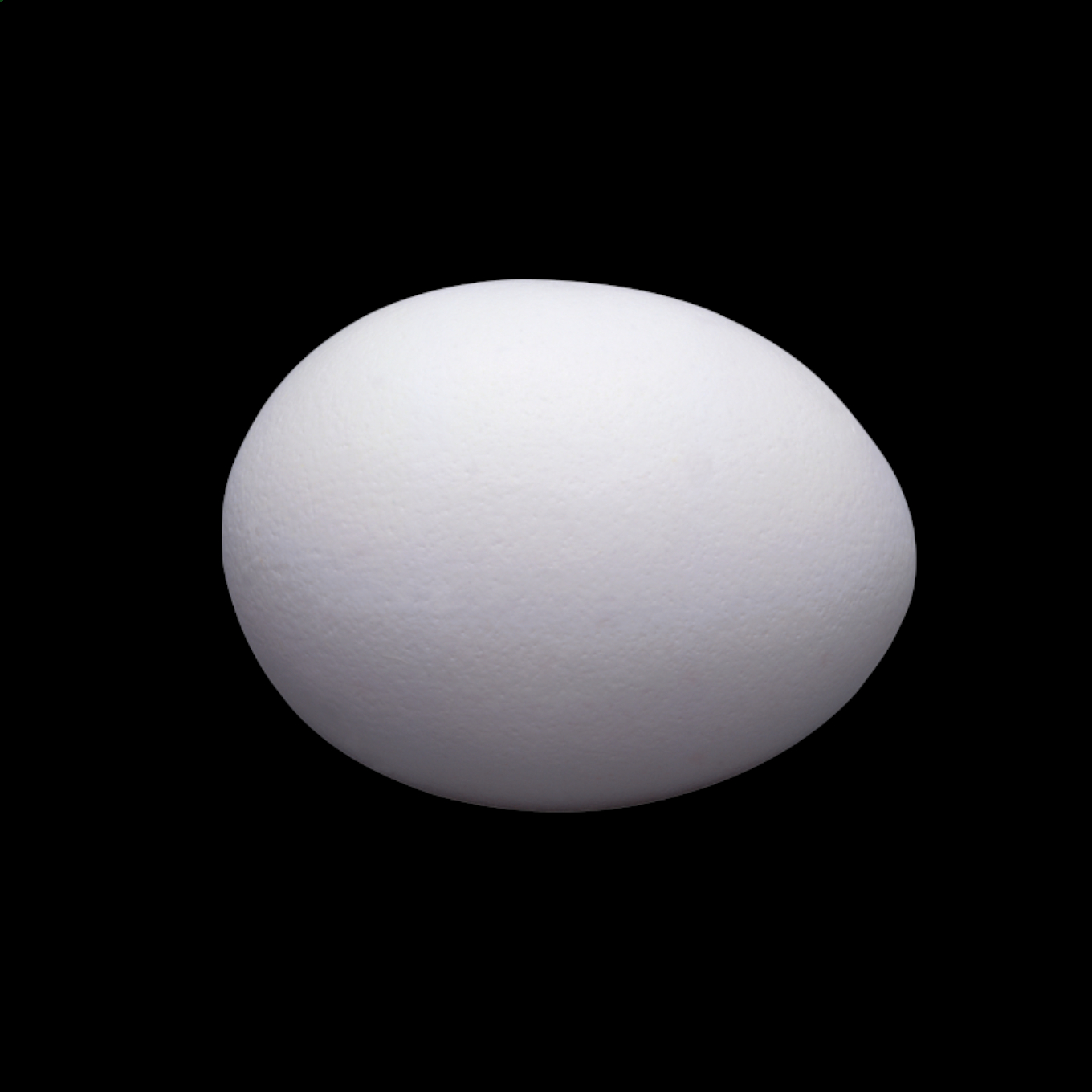 Egg Detection Object Detection Dataset By Team Celerity