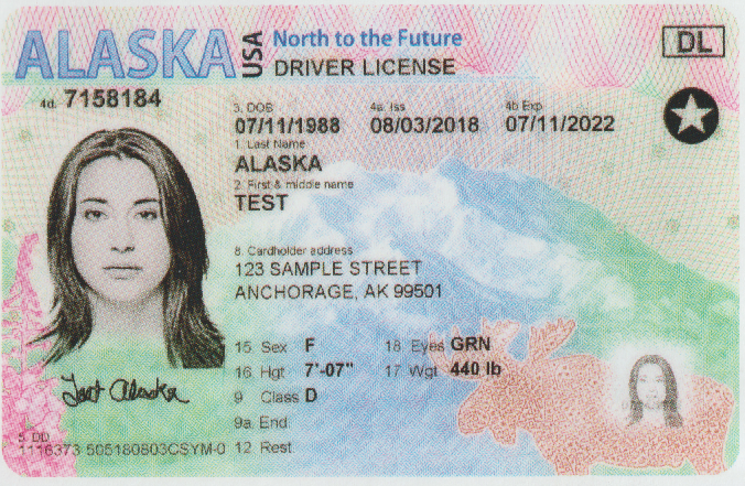 Driver License Sample Object Detection Dataset (v1, 2022-12-27 10:49am ...