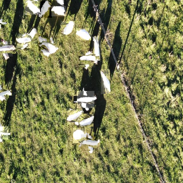 Sheep counting Object Detection Model by Tarumt