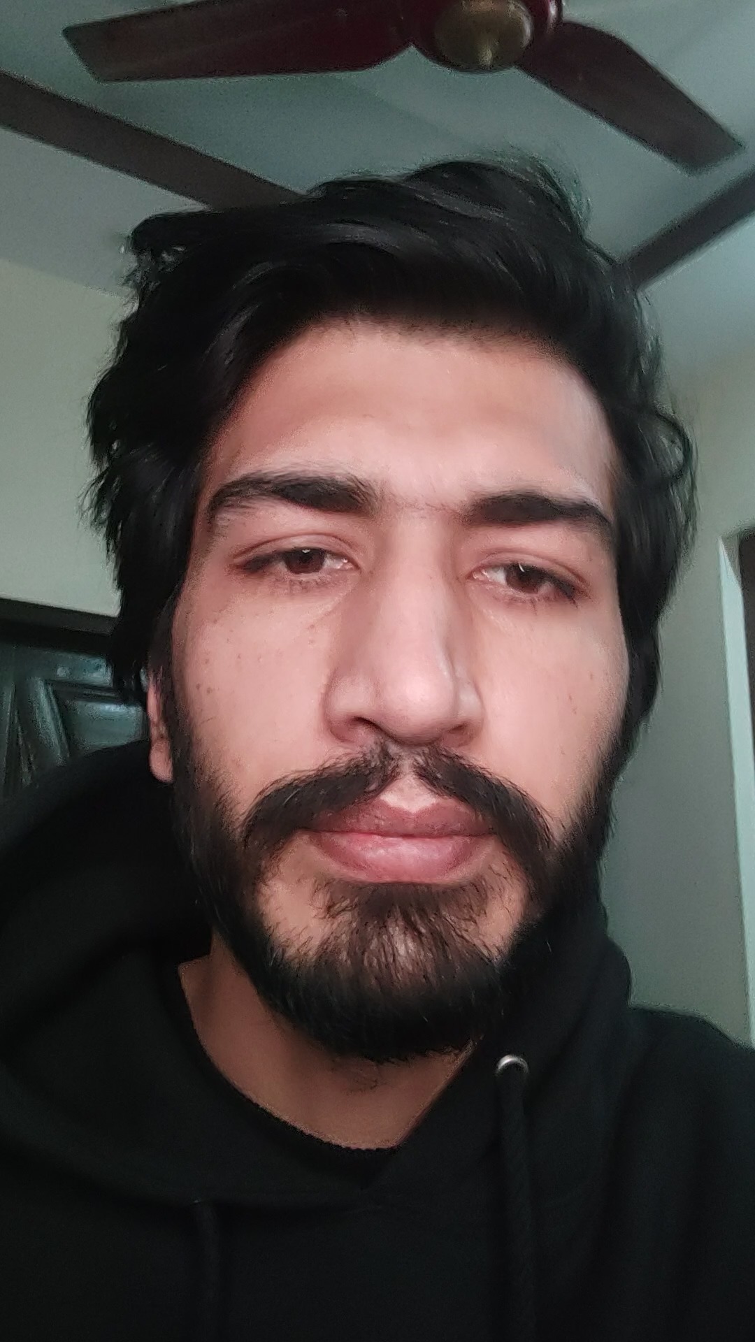 human-eye Instance Segmentation Dataset by ceran