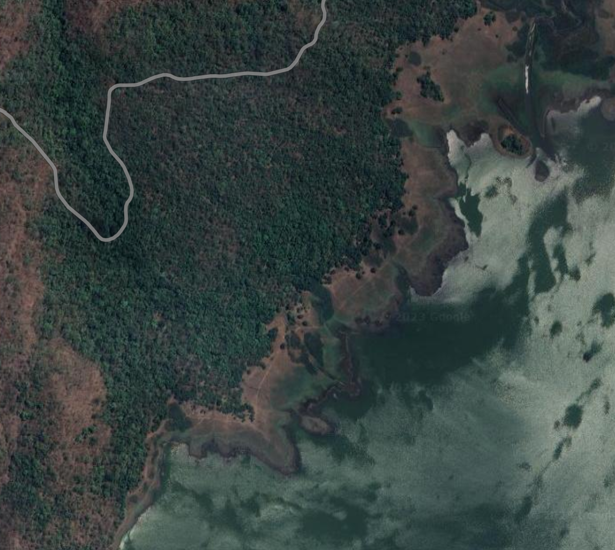 SS_DS Instance Segmentation Model by SIH