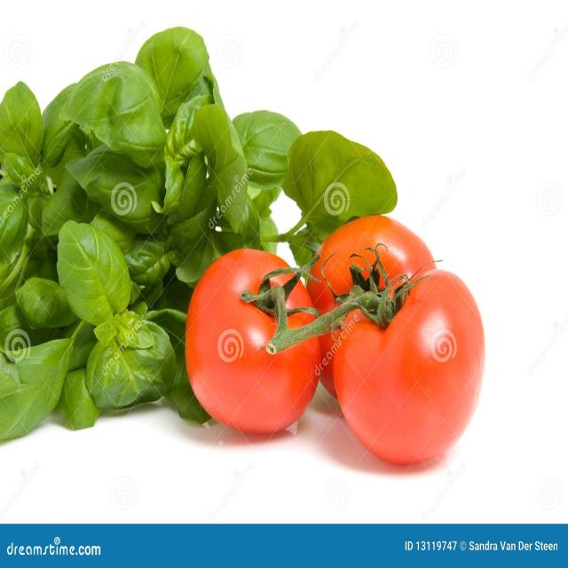 deteksi hama tanaman tomat Object Detection Dataset by Hama Tanaman Tomat