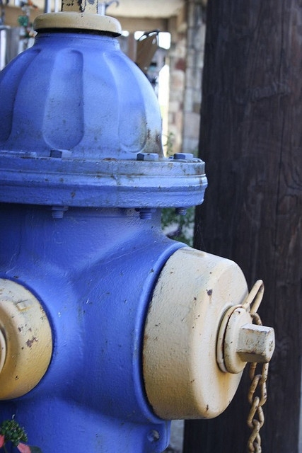 fire hydrant Object Detection Model by dogs