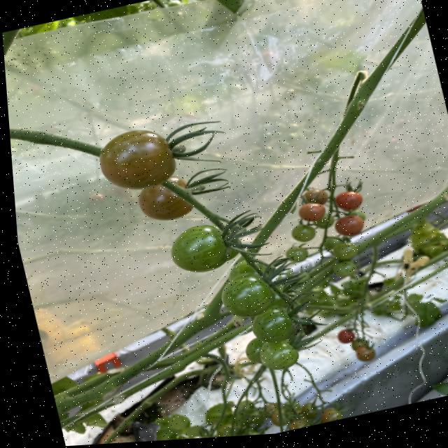 FYP S21A0015 Object Detection Model (v6, Yolo NAS) by Final Year Project S21A0015