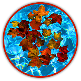 Leaf-Pool Detection Object Detection Dataset and Pre-Trained Model by ...