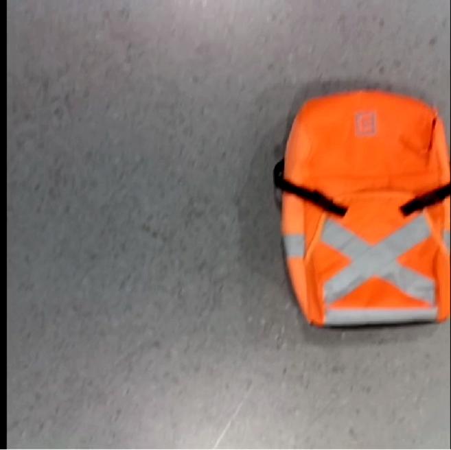 A Sailing Raccoon - Roboflow Universe