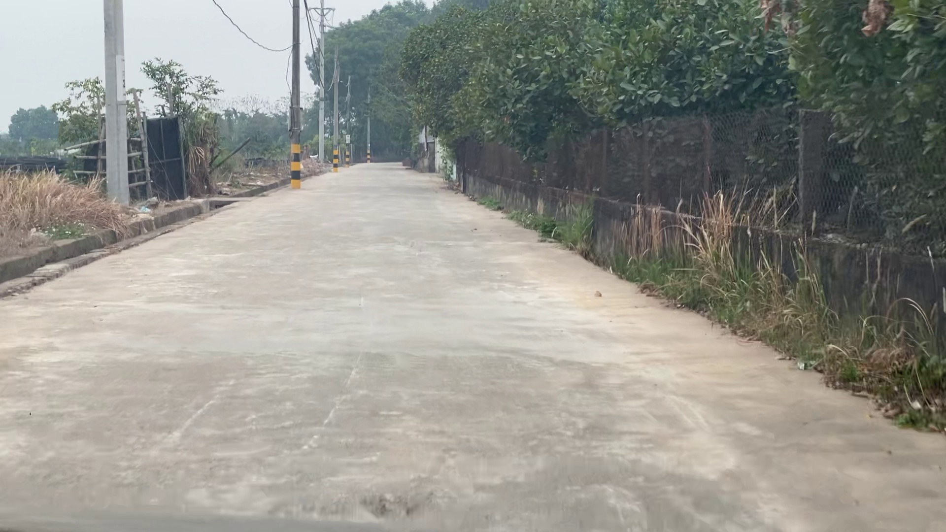 road Instance Segmentation Dataset by Car