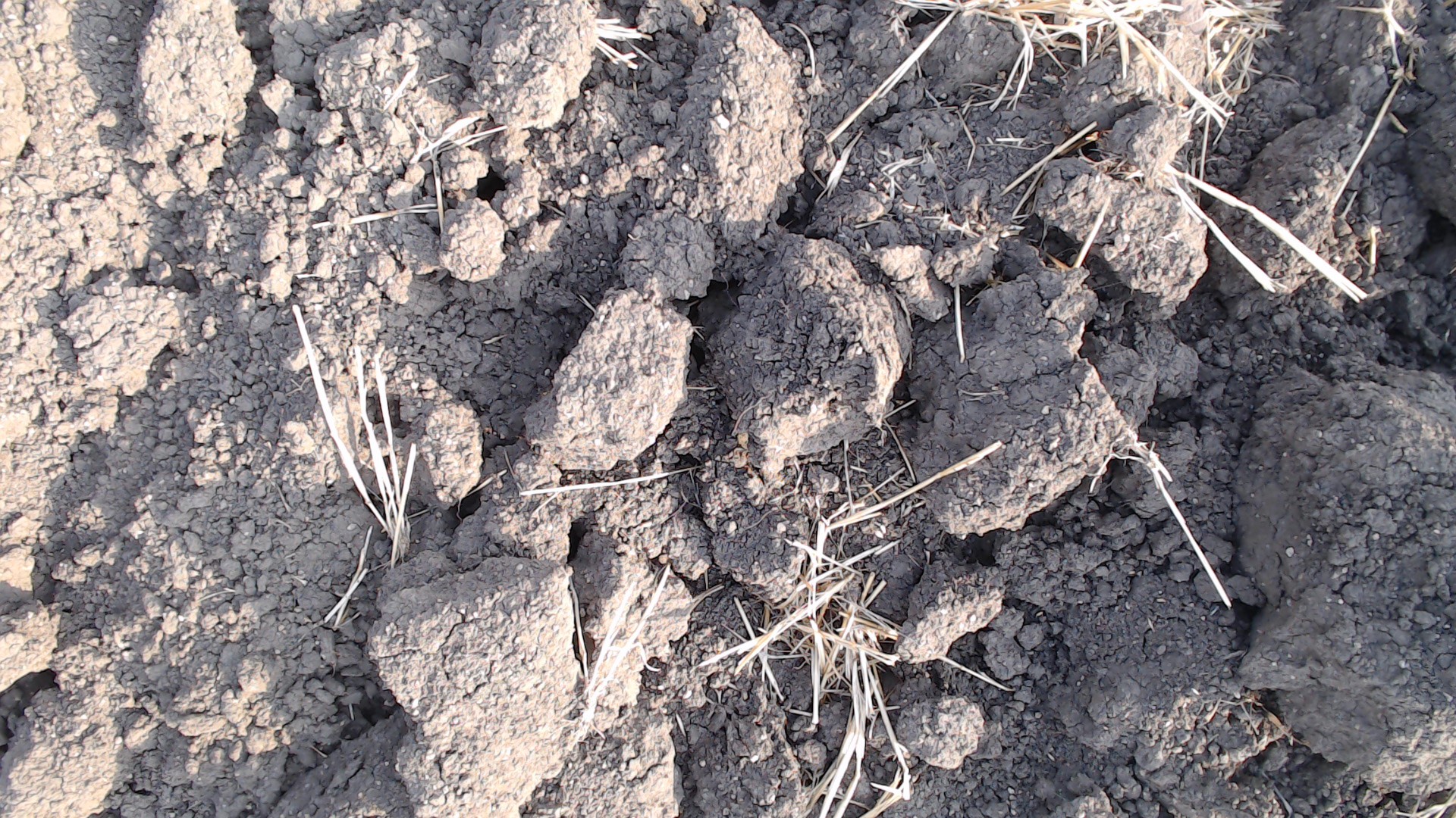 object detection Object Detection Dataset and Pre-Trained Model by soil ...