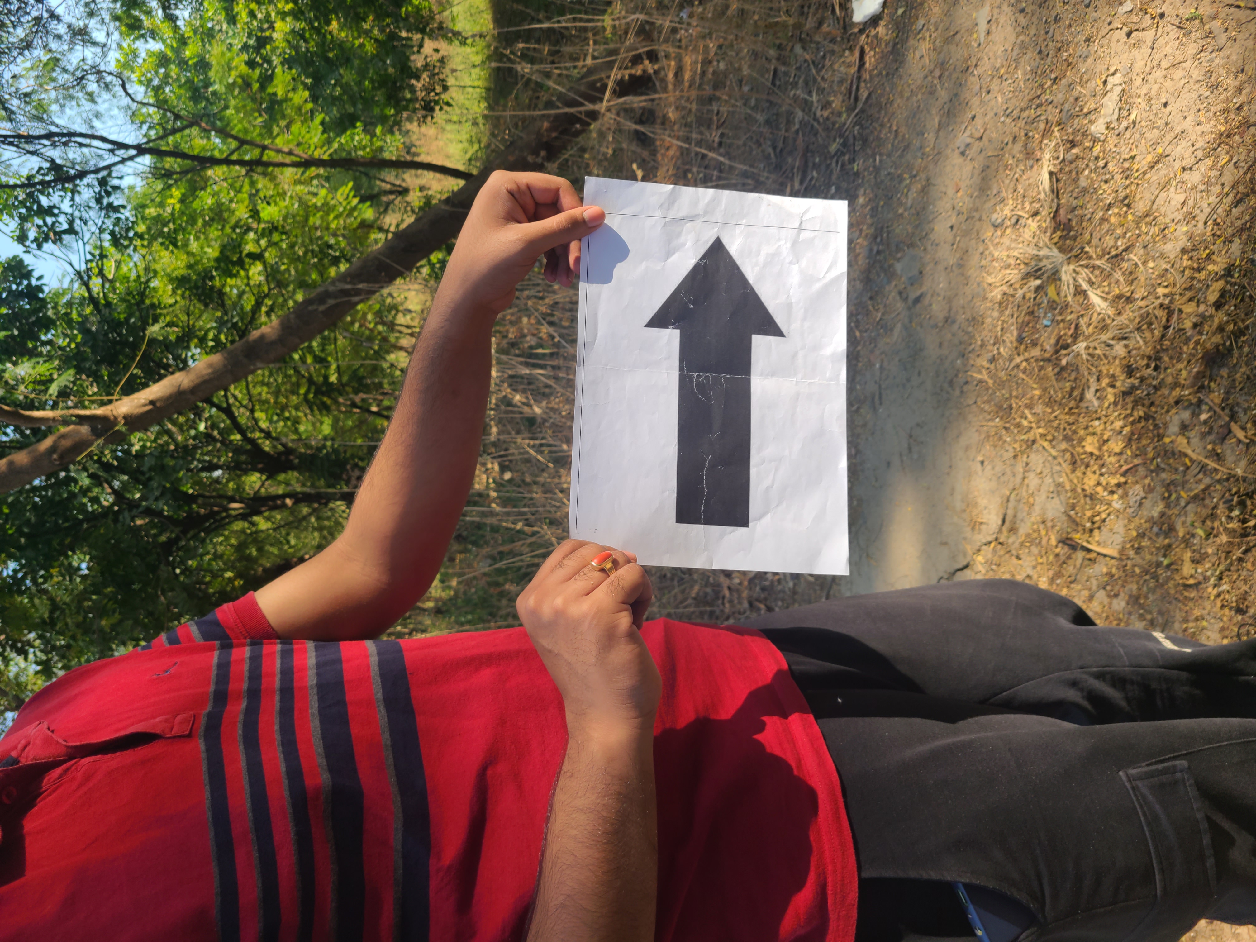 How to Use the Arrows Object Detection API