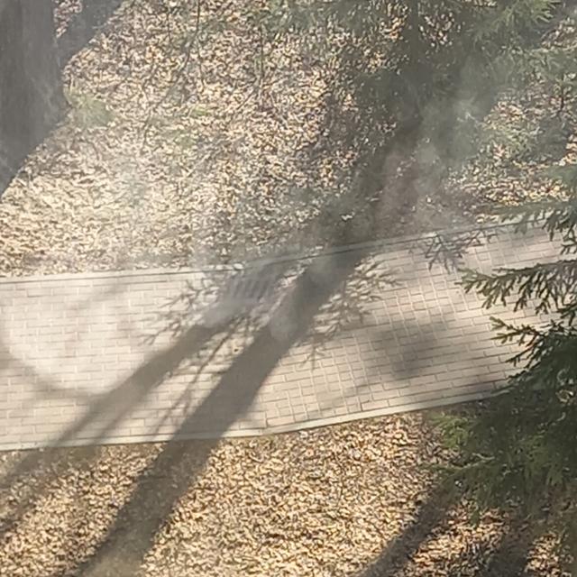 Human detection model V2 Object Detection Dataset by yolo do it