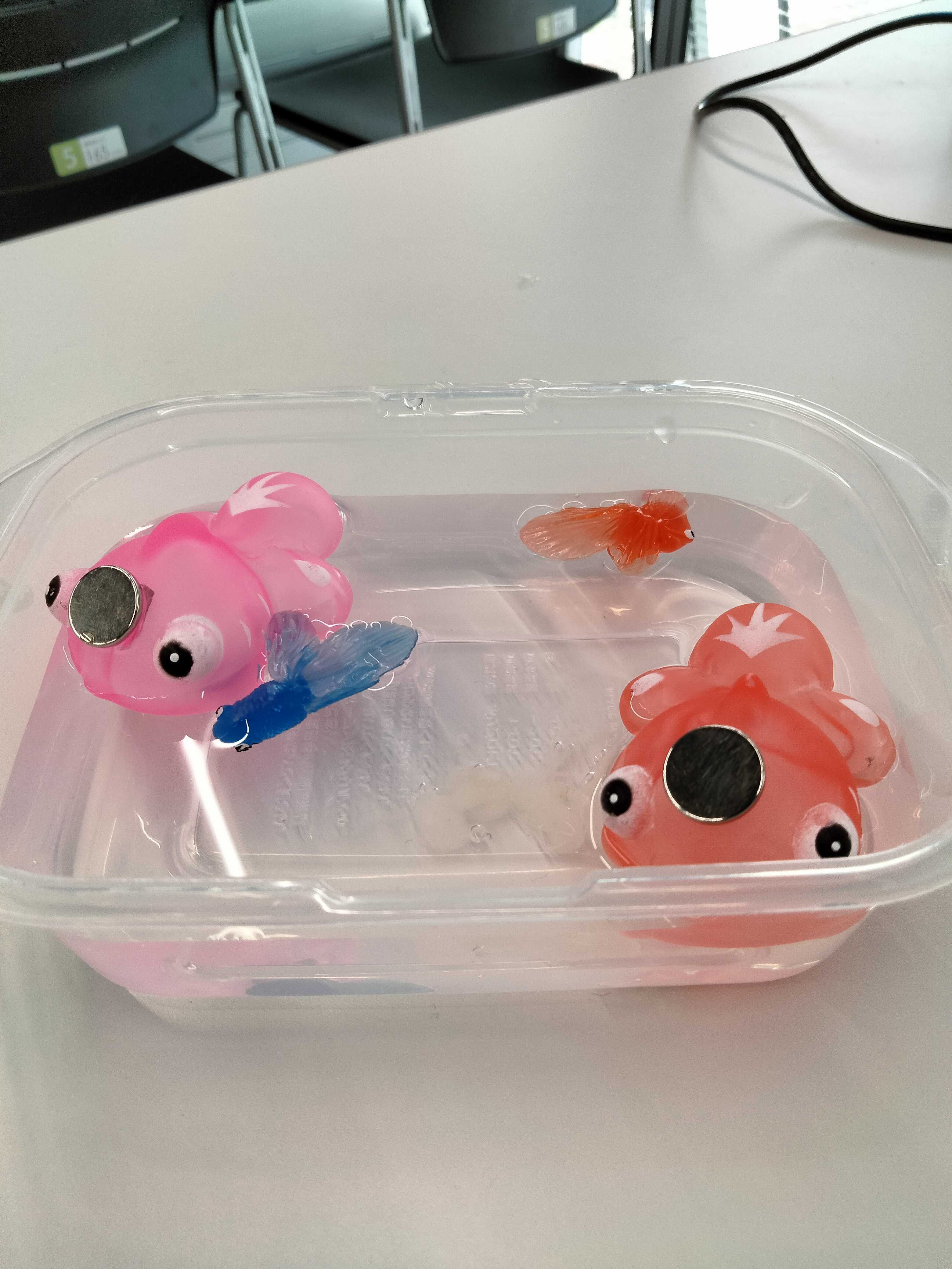 08classes_dataset Object Detection Dataset by IPUT hackathon