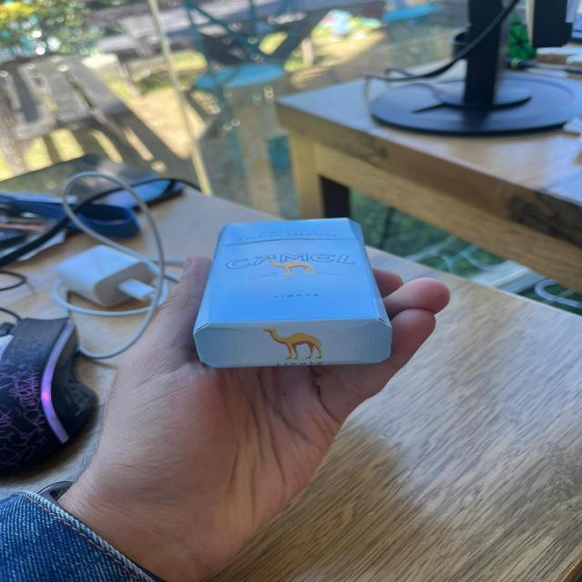 Camel Morocco Object Detection Dataset and Pre-Trained Model by John Smith