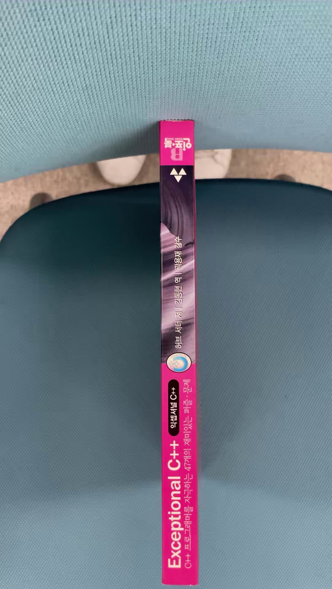 exceptional_cpp Instance Segmentation Dataset by project-r0z7t