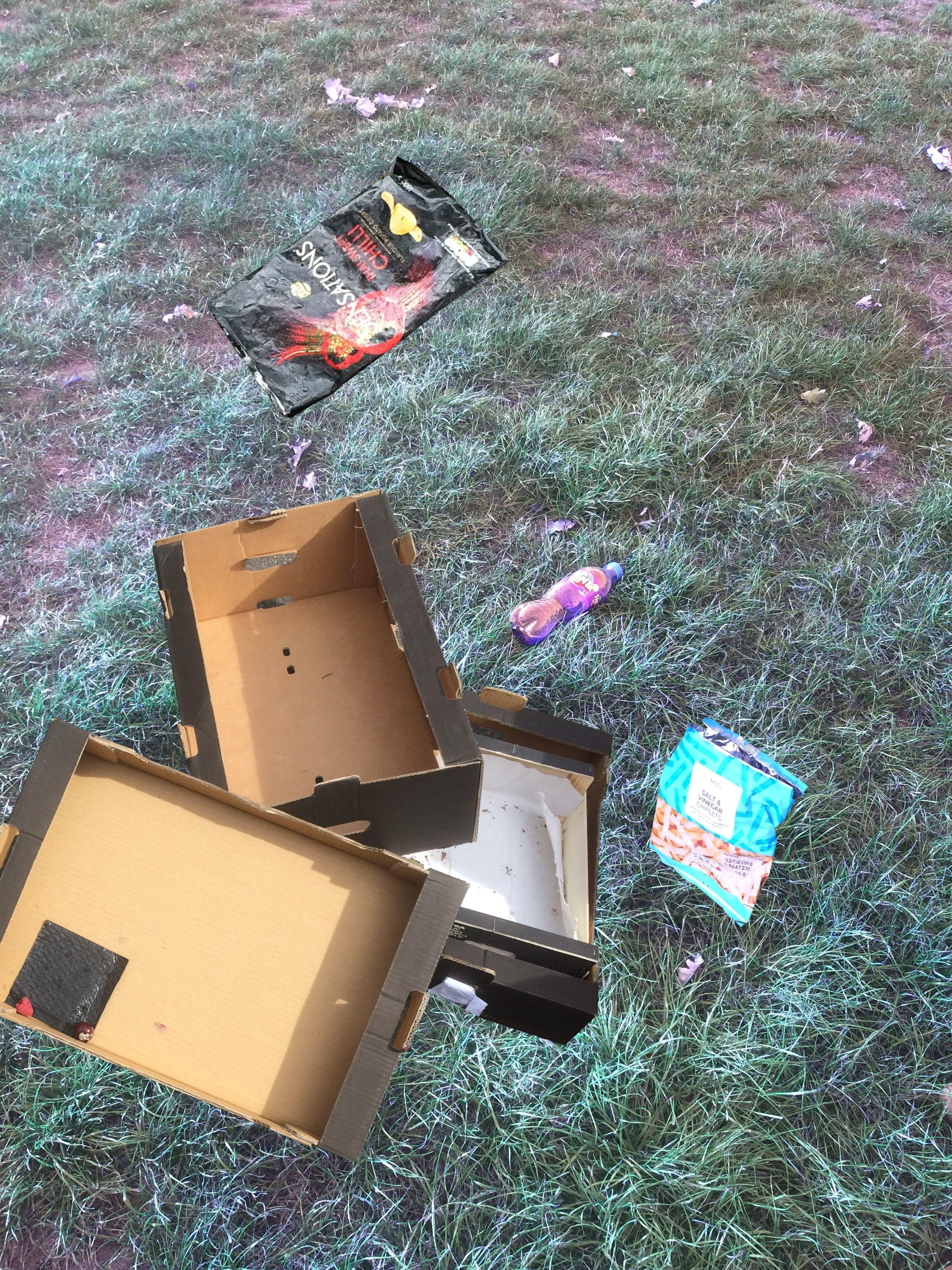 TACO_official+unofficial Instance Segmentation Dataset by garbage