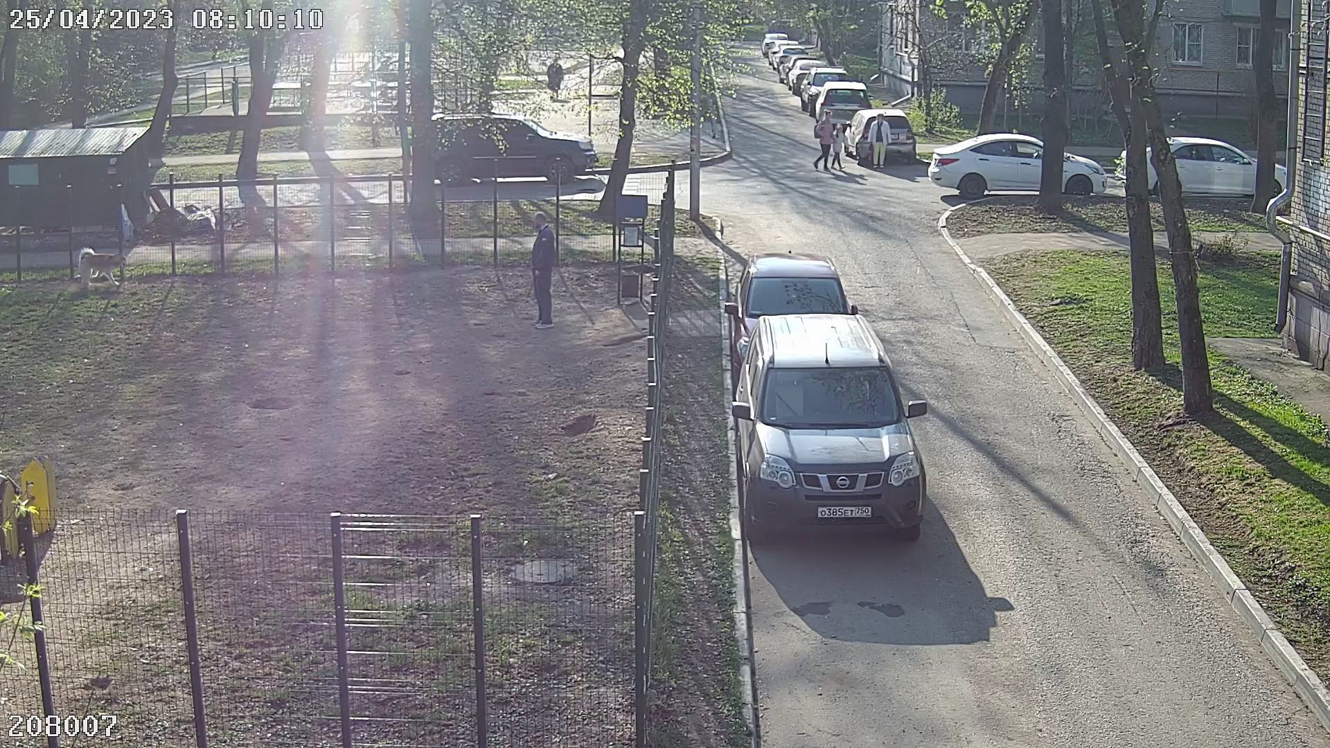 Stray Animal Detection Object Detection Model by rep