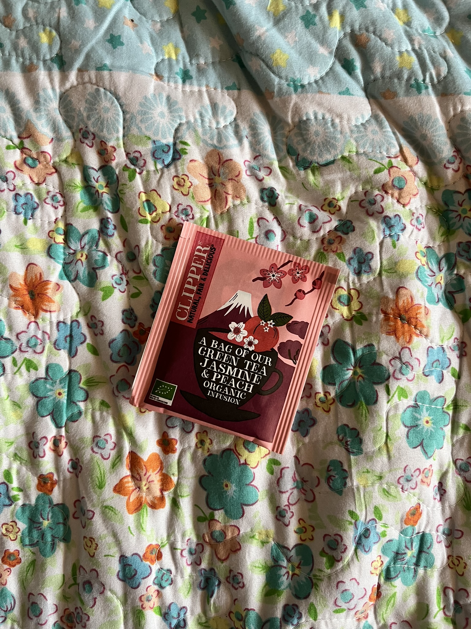 TeaBag Instance Segmentation Dataset and Pre-Trained Model by Workspace Jelle