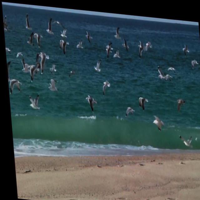 bird-0306 Object Detection Dataset by bird