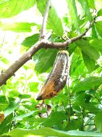 new-workspace-ud5t6 - Roboflow Universe