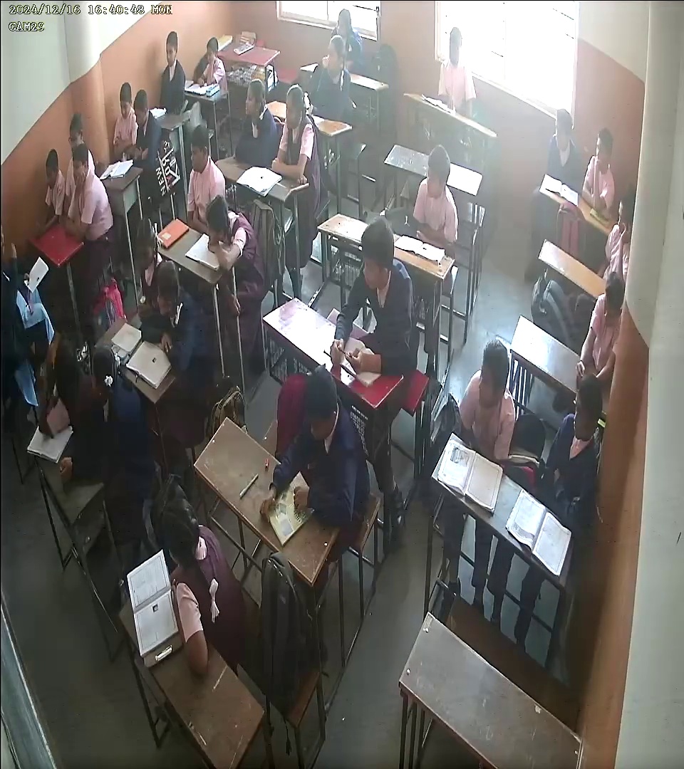 catt Object Detection Dataset and Pre-Trained Model by CAT