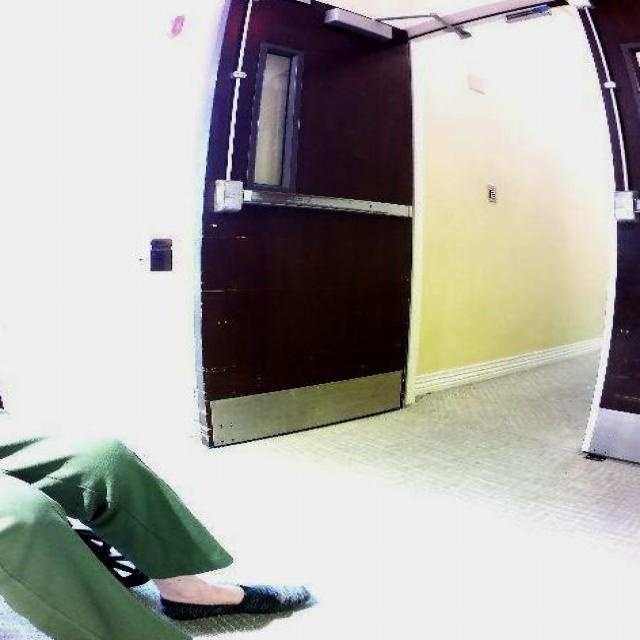 fall_d Object Detection Dataset by strathclyde