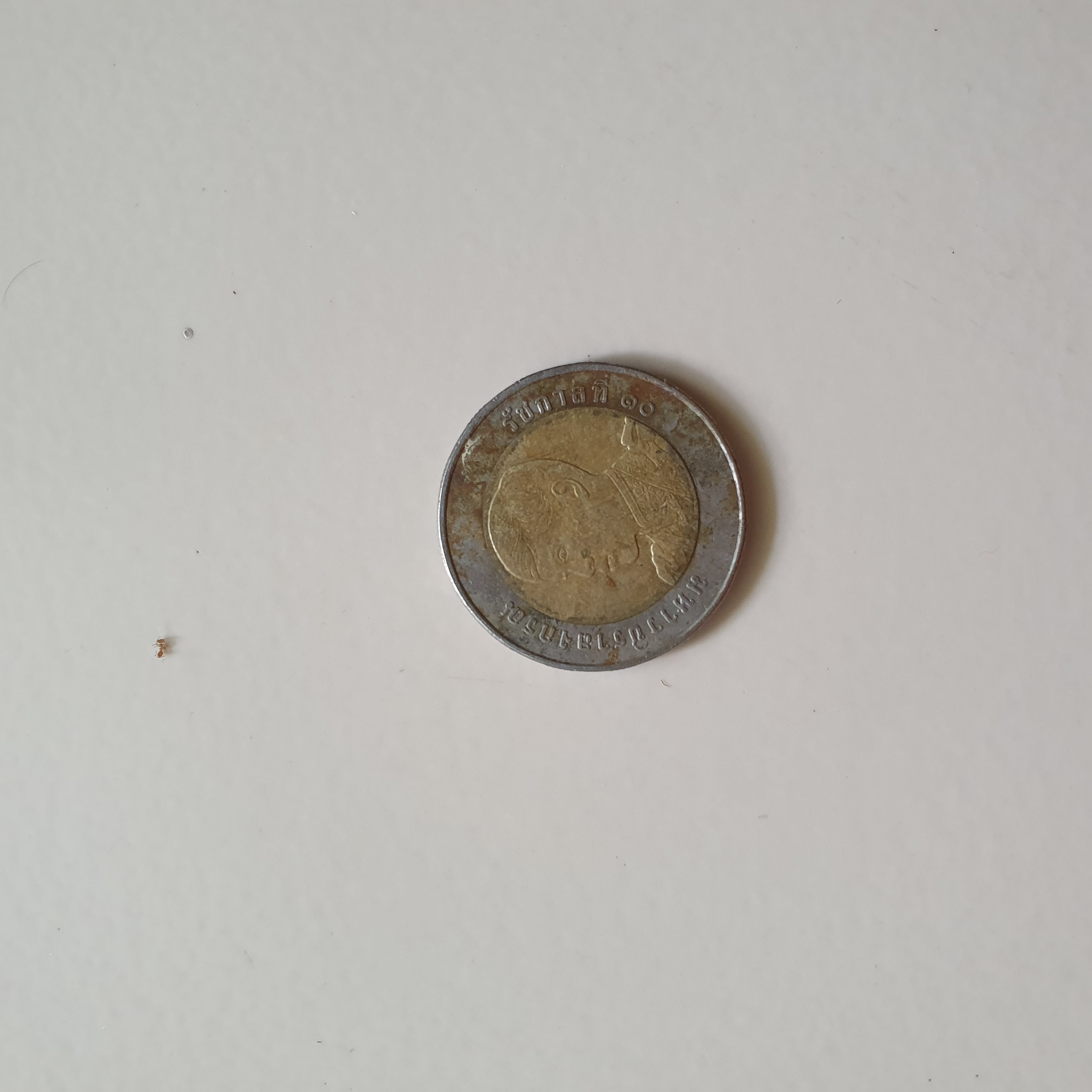 Coin Thai Object Detection Model V13 2024 12 24 5 41pm By Data