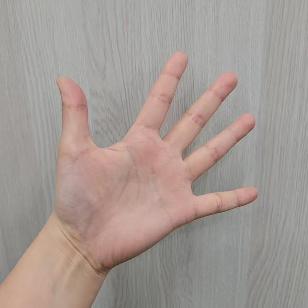 20250528_PAPER Classification Dataset by AI