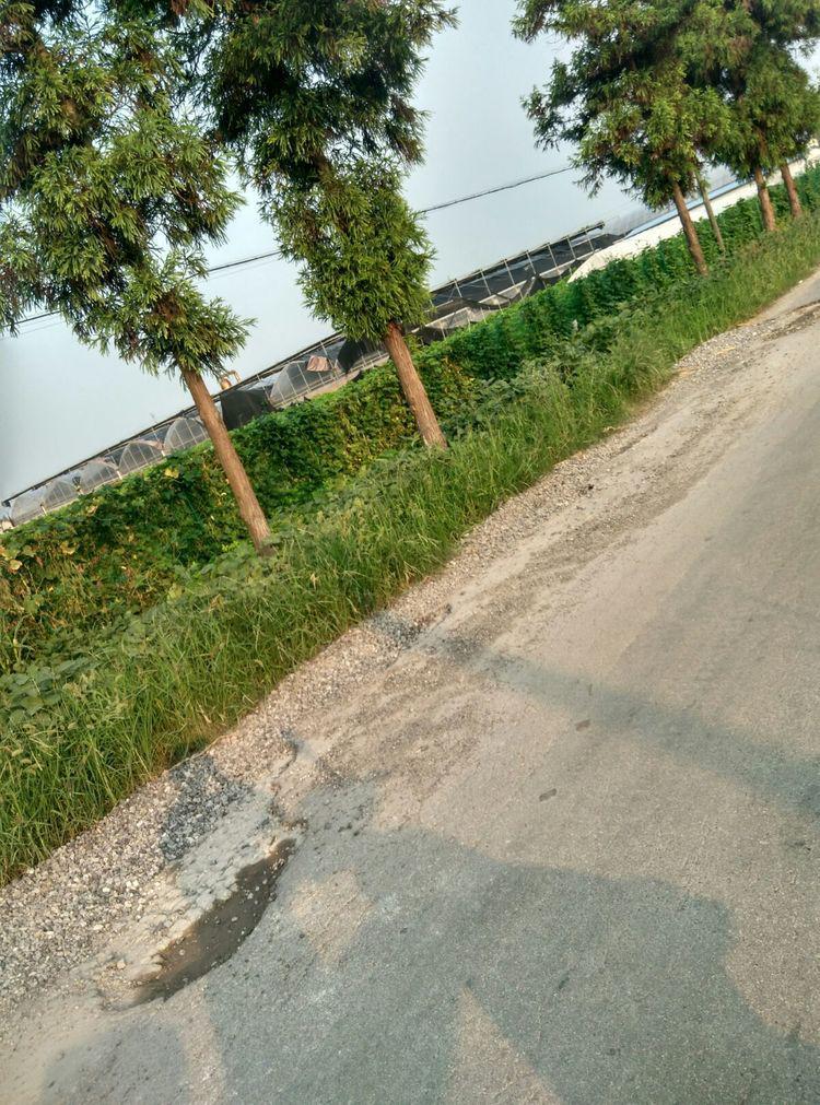 Potholes Object Detection Dataset By Yolov5