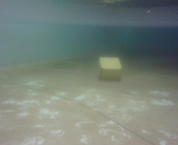 techsas Object Detection Dataset and Pre-Trained Model by telkom university