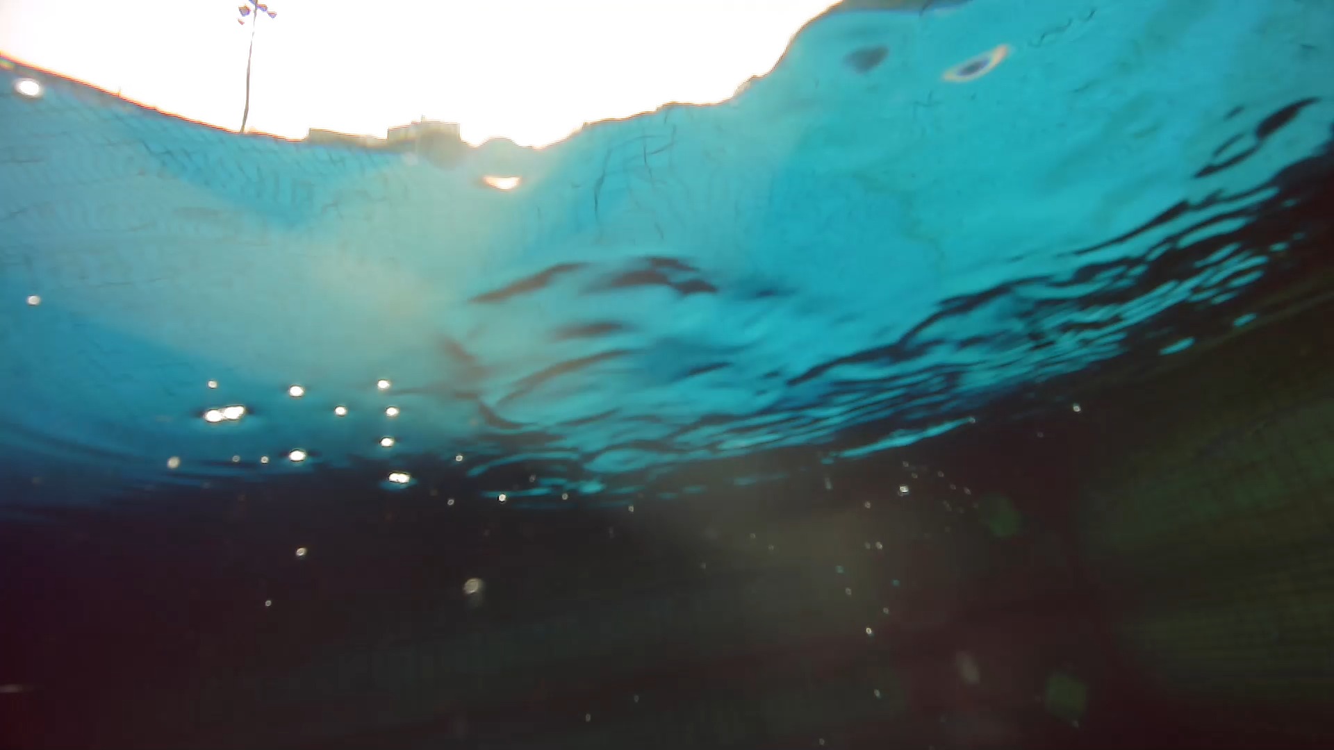 KERBAU Object Detection Dataset by telkom university