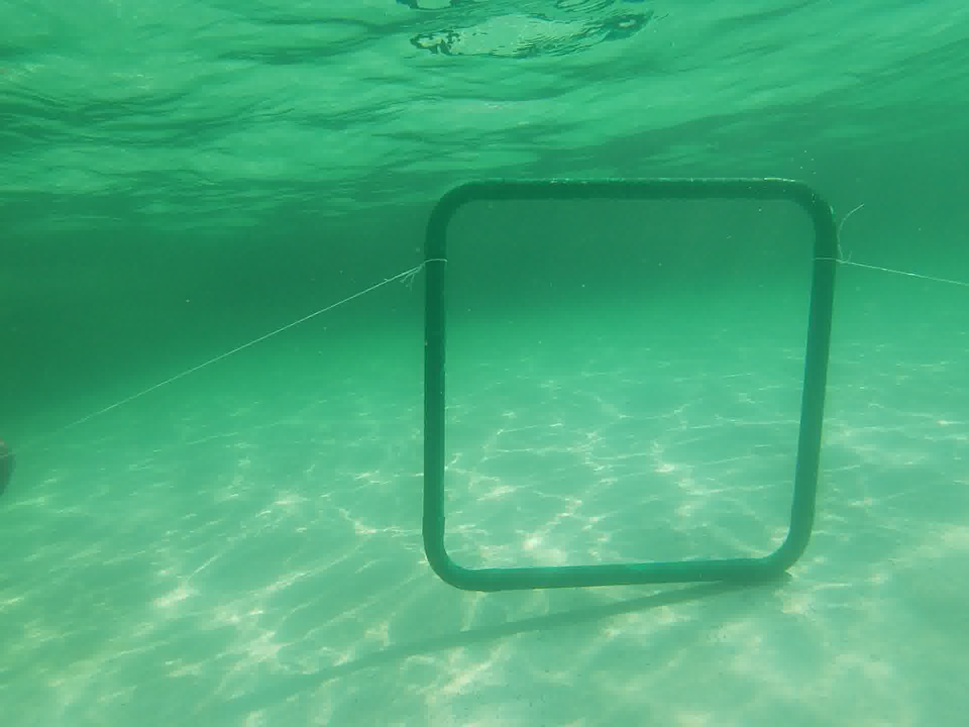 aqua green Object Detection Dataset by aqua vision