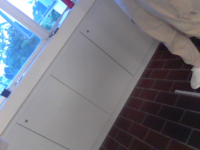 MDP-combined-grey Object Detection Dataset and Pre-Trained Model by MDP